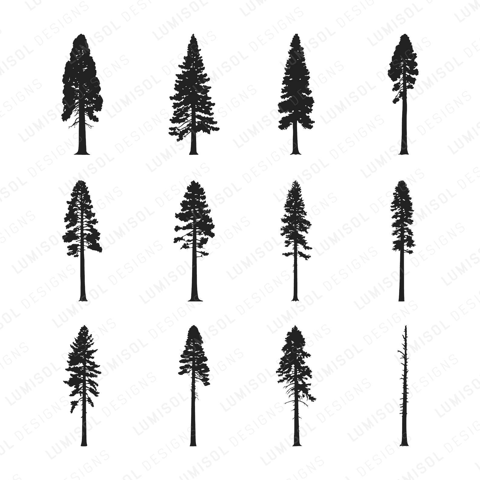 Redwood Tree Silhouette SVG Bundle: 12 Nature Vectors (digital Files ...