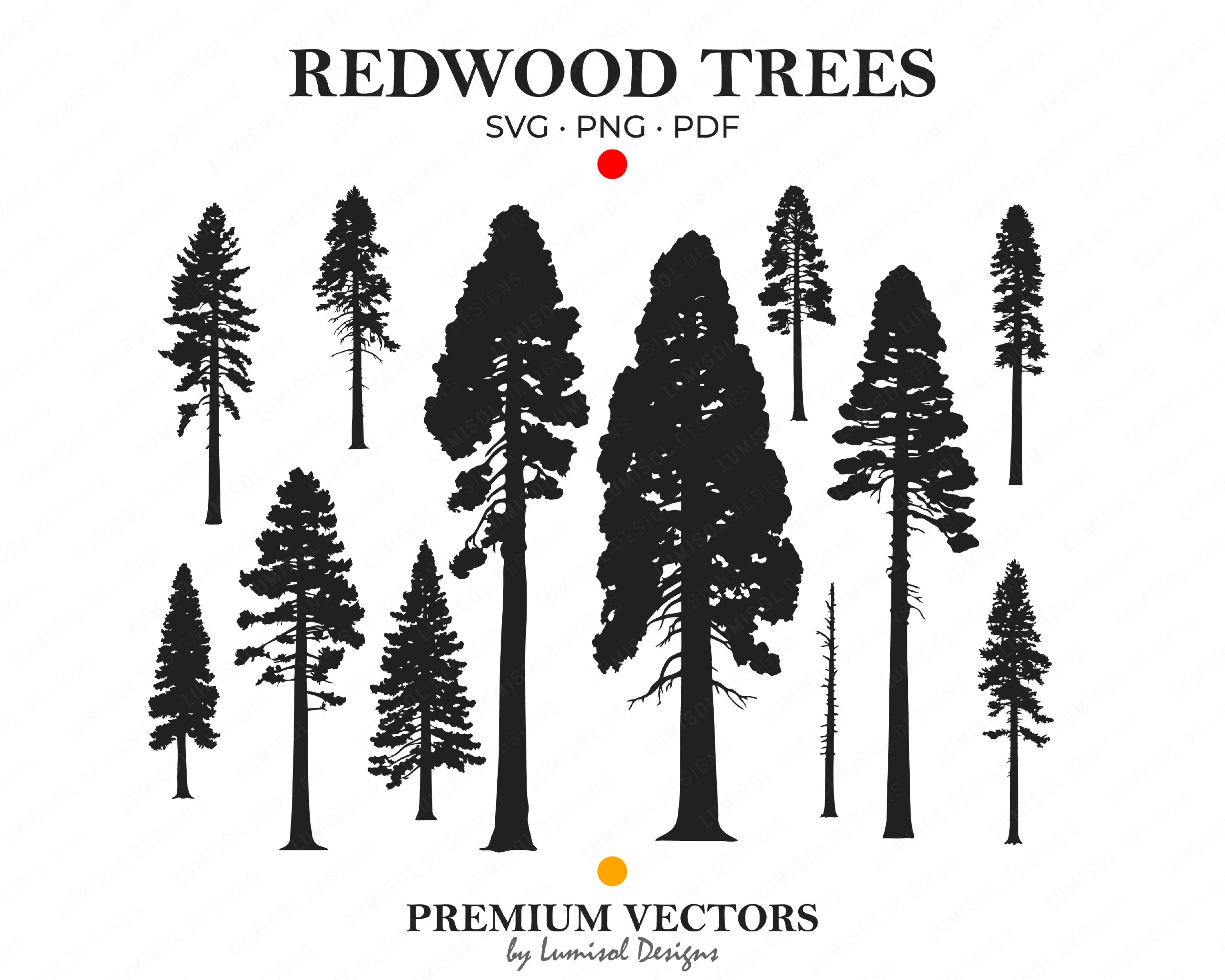 Redwood Tree Silhouette SVG Bundle: 12 Nature Vectors (digital Files ...