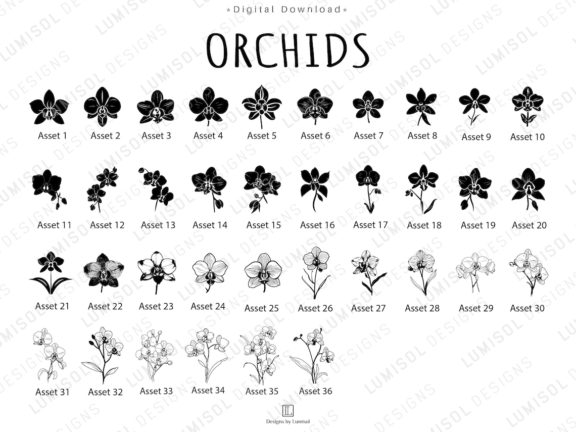 Orchid SVG Bundle | 36 Hand-drawn Orchids | Floral Clip Art ...
