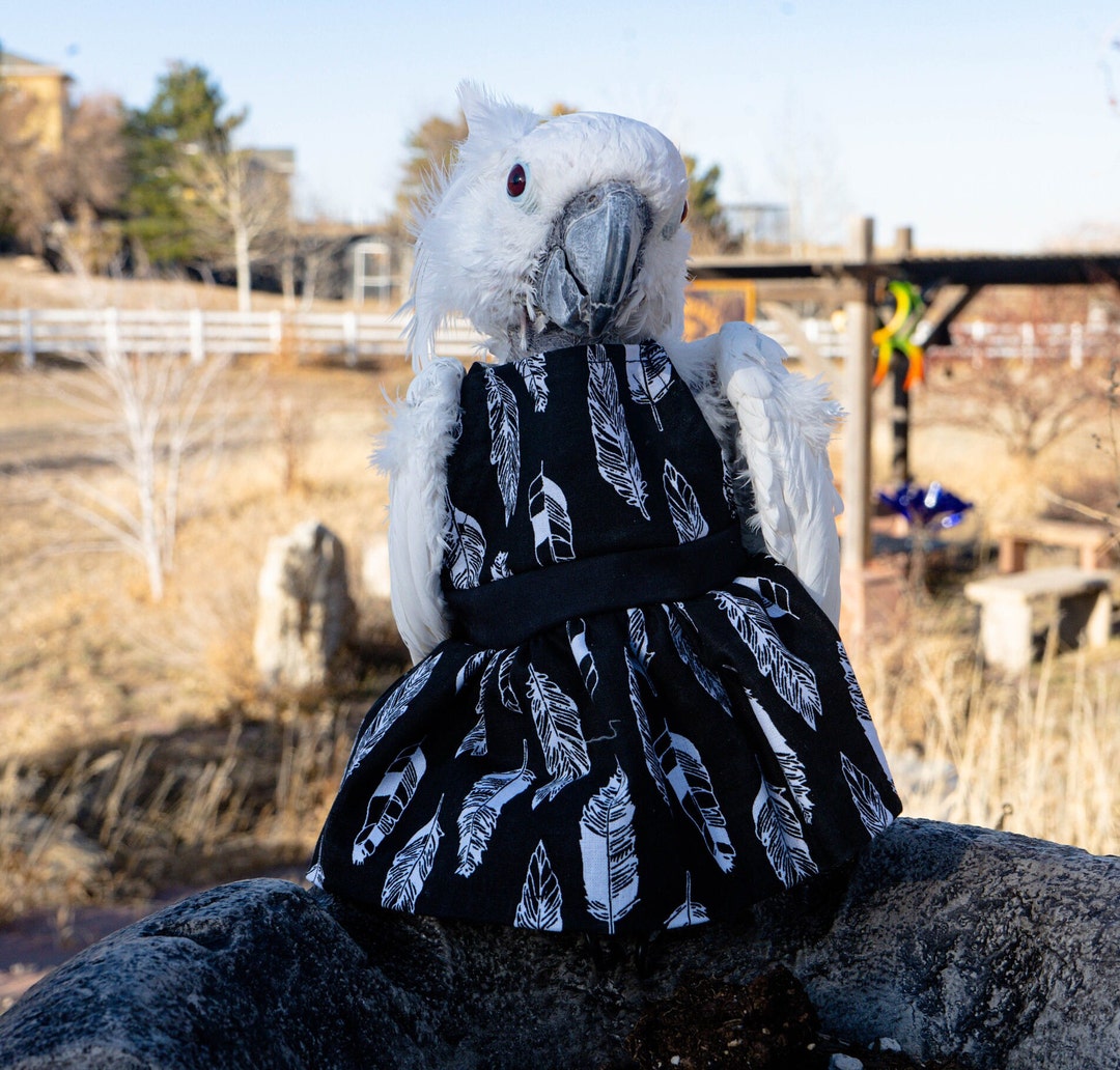 Black and White Feather Dress for Large Birds - Etsy
