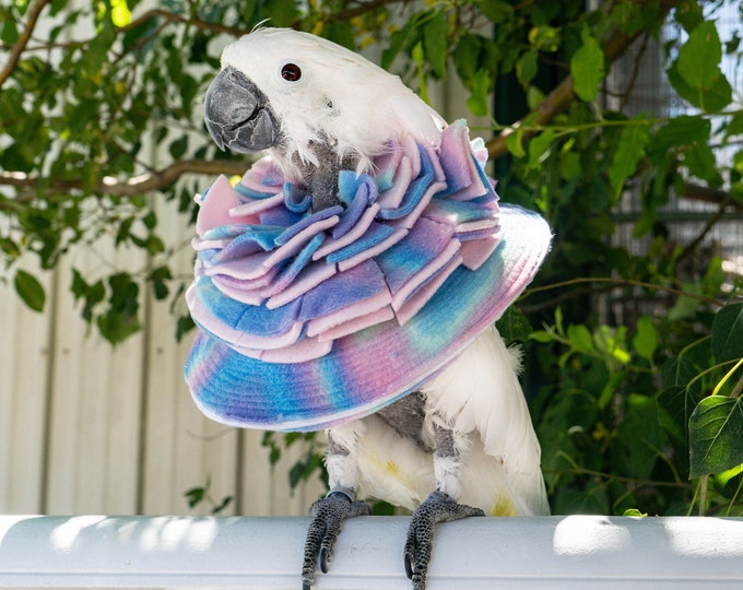 Parrot Extra Coverage Clothing, Specifically for Birds That Pluck and ...