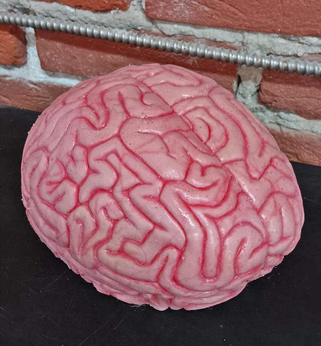 BIG BRAIN PINK Latex Haunted House Prop Halloween - Painted - Etsy