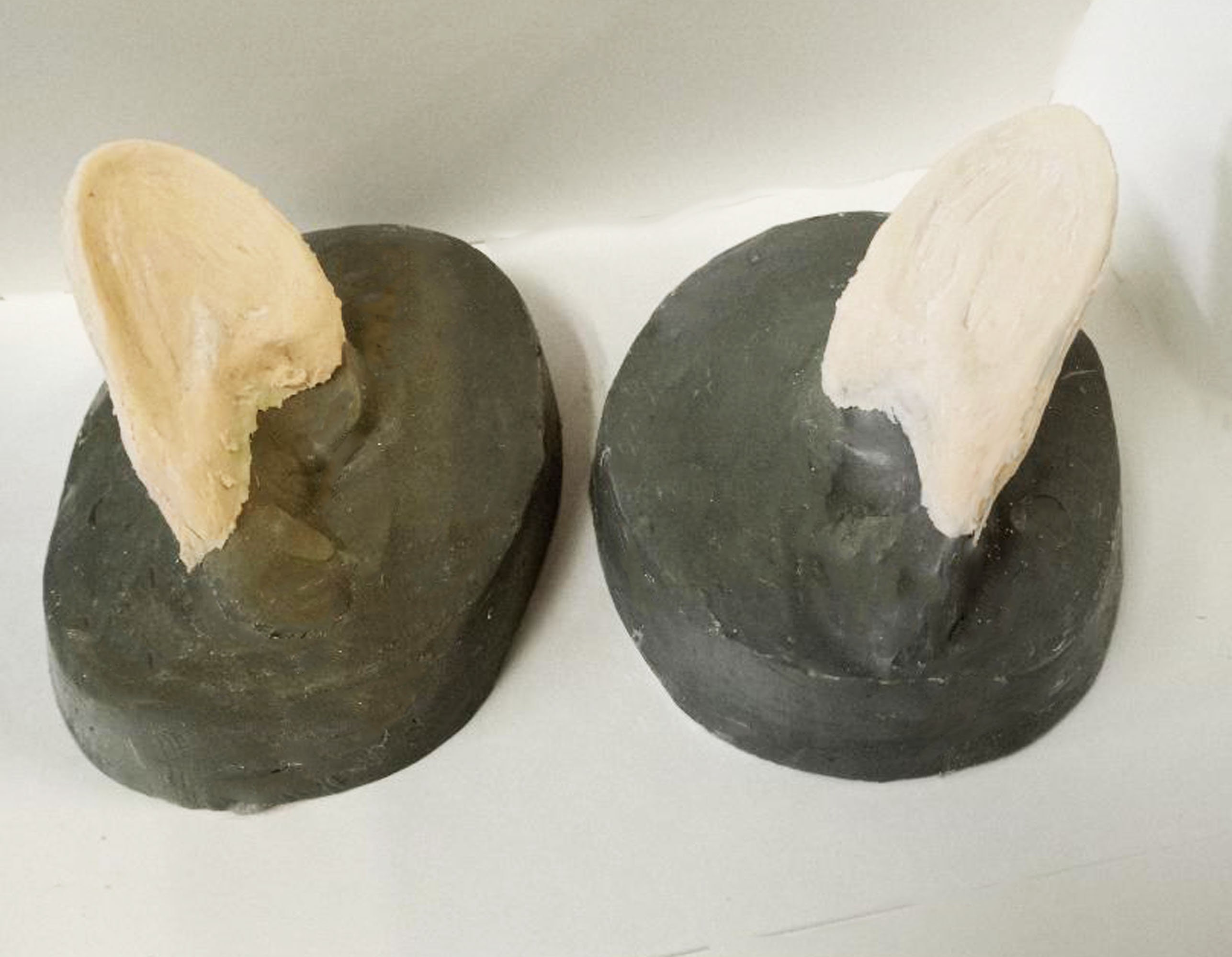 Avatar Navi Cat Foam Latex Prosthetic Mask Navi Makeup for - Etsy