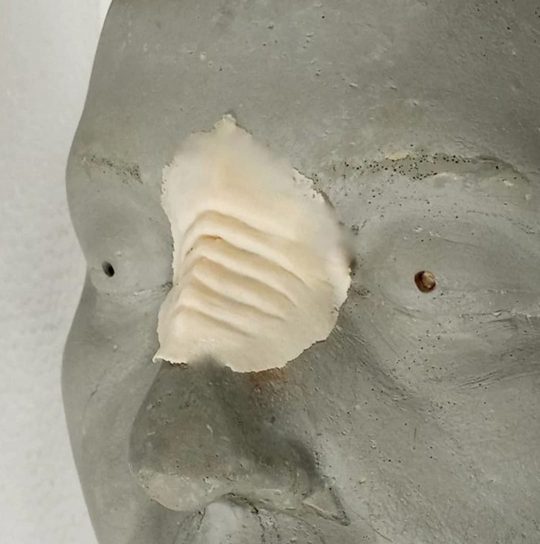 Bajoran Nose Ridge: Latex Prosthetic - Scifi Cosplay Makeup - Etsy