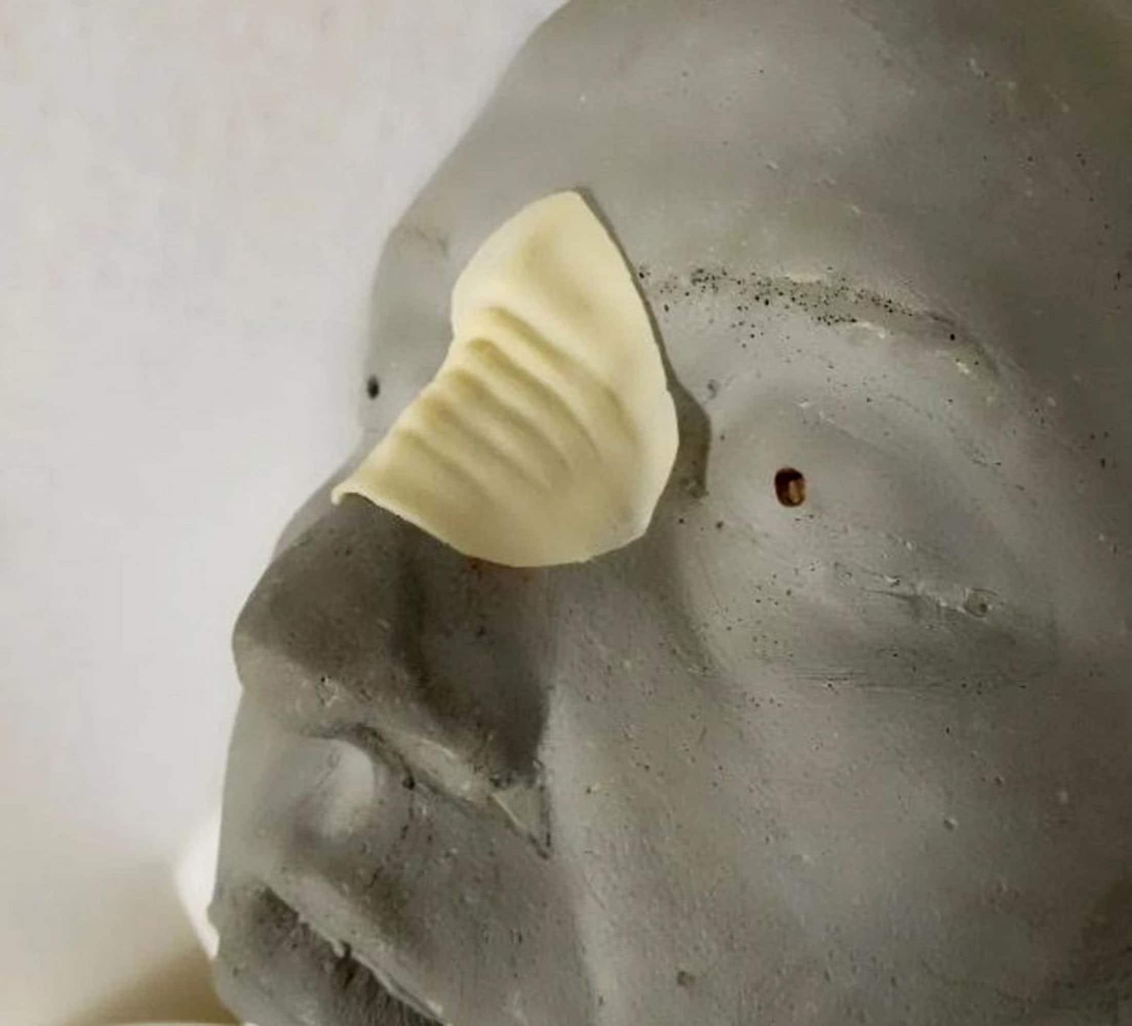 Bajoran Nose Ridge: Latex Prosthetic - Scifi Cosplay Makeup - Etsy