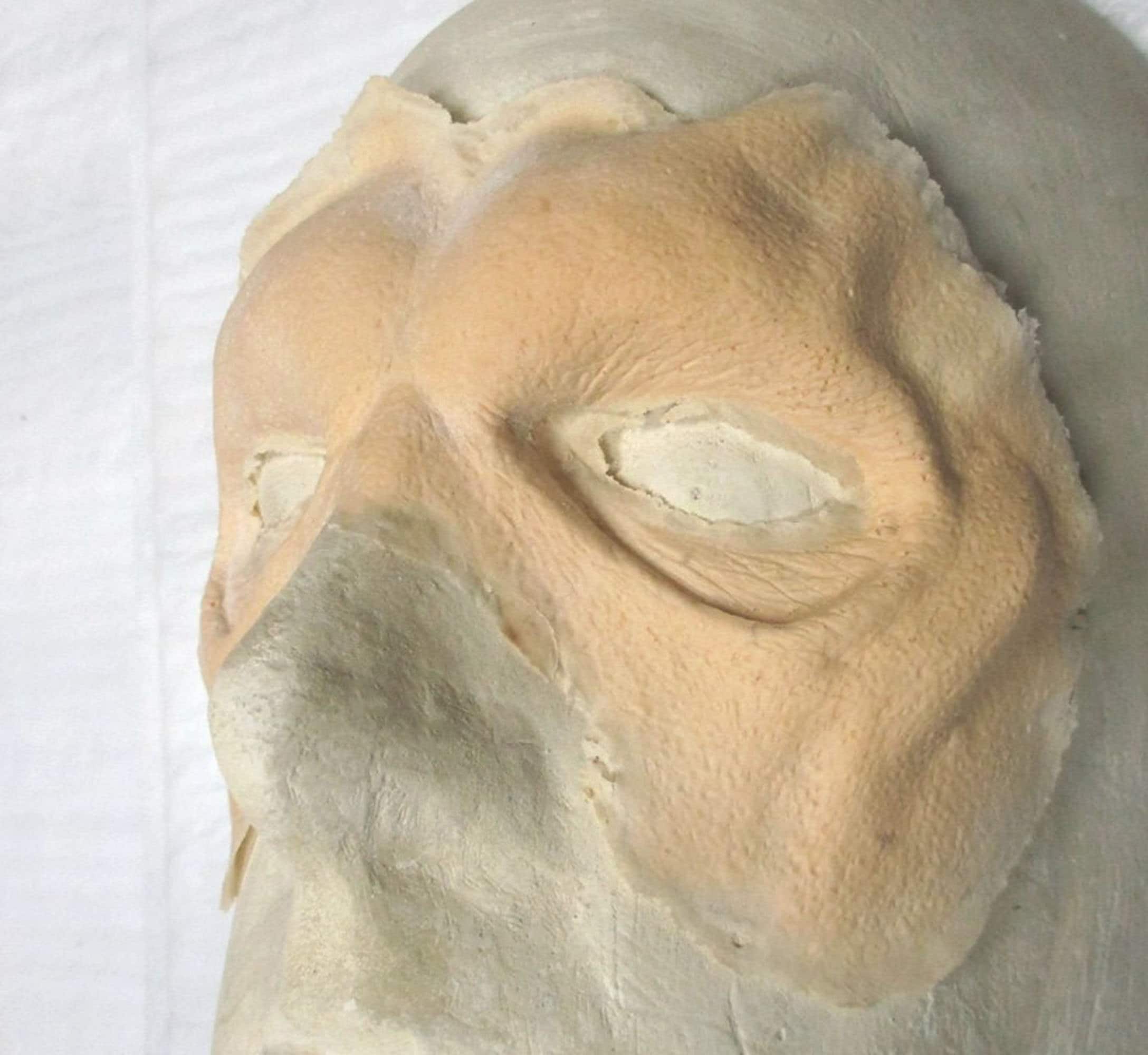 Zombie Foam Latex Prosthetic Halloween Makeup Walking Dead - Etsy