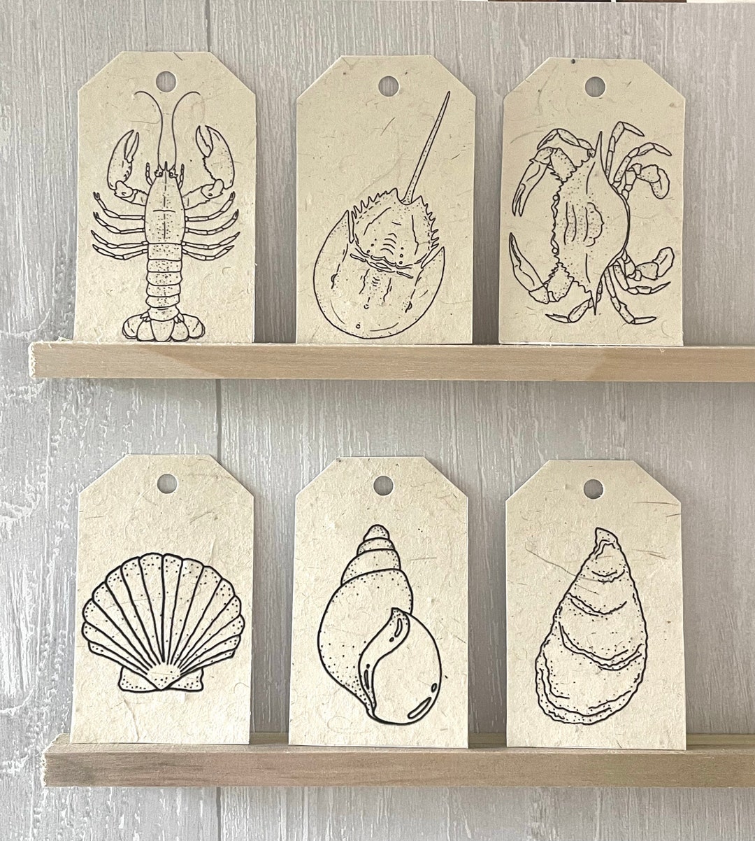 Coastal Gift Tag, Shell, Sea Themed, Handmade, Seed Paper - Etsy