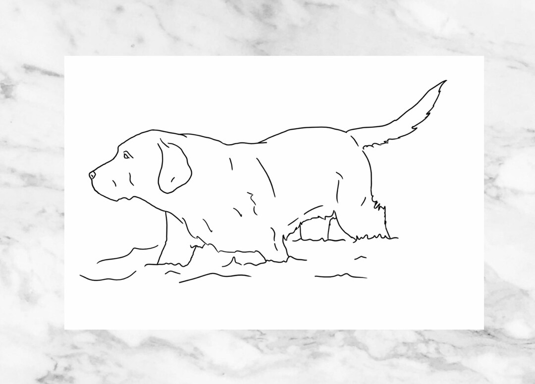 Swimming Lab Line Art Card, Wall Art, Printable, Blank Interior, Simple ...