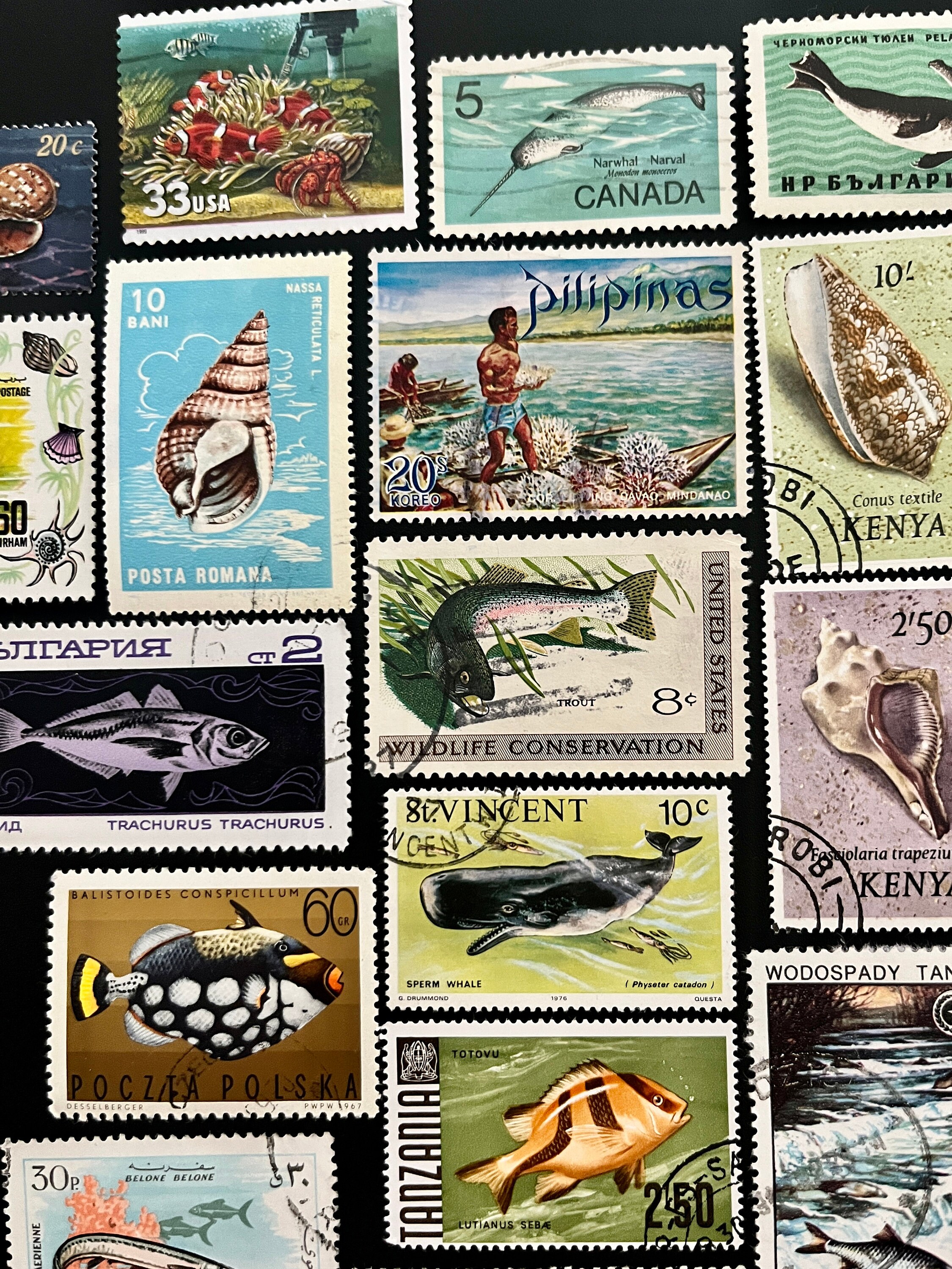25 Stamp FISH & MARINE LIFE Fun Pack // Random Lot of 25 Premium World ...