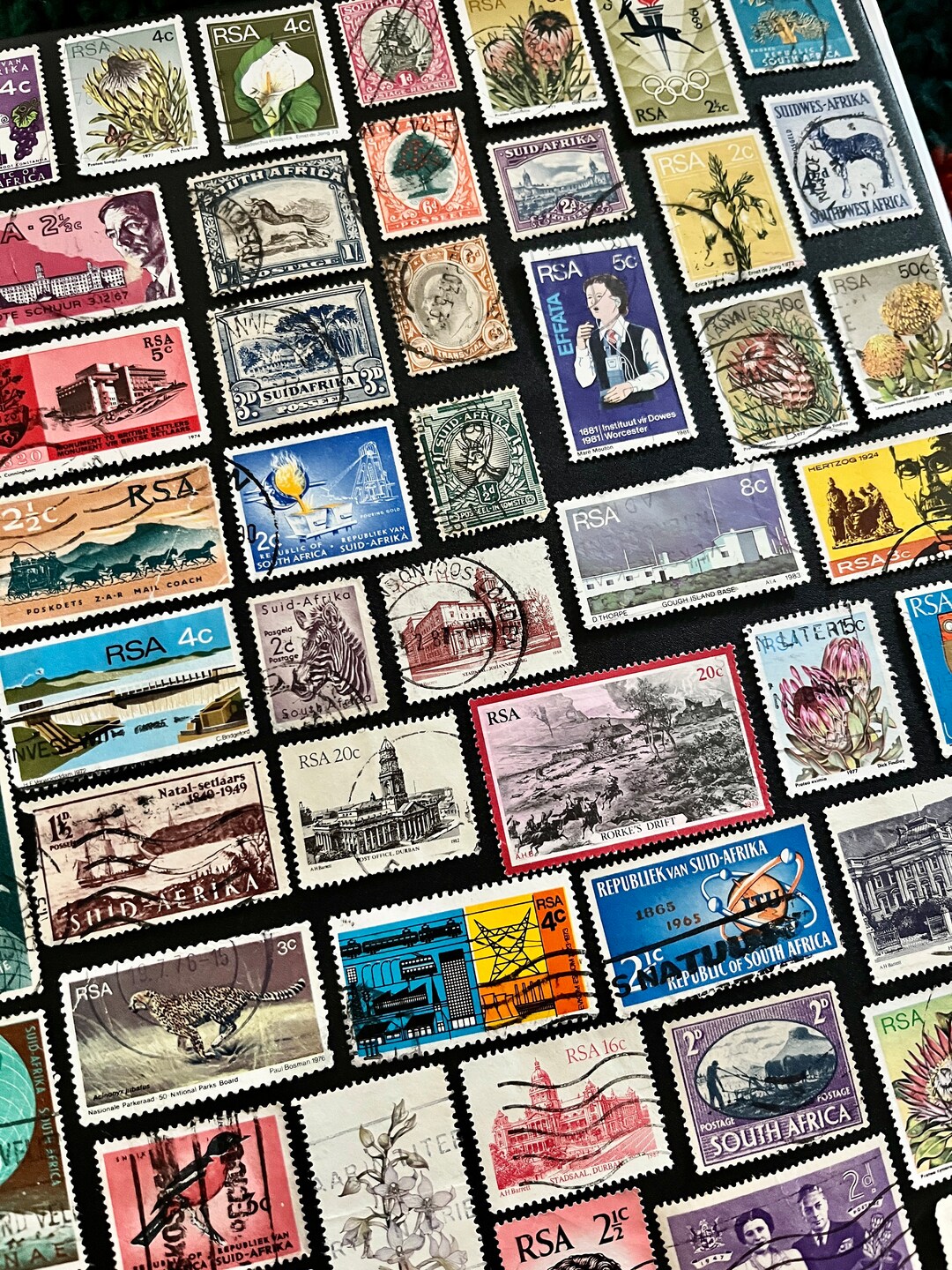50 Stamp SOUTH AFRICA Fun Pack / Lot of 50 Different Used South African ...