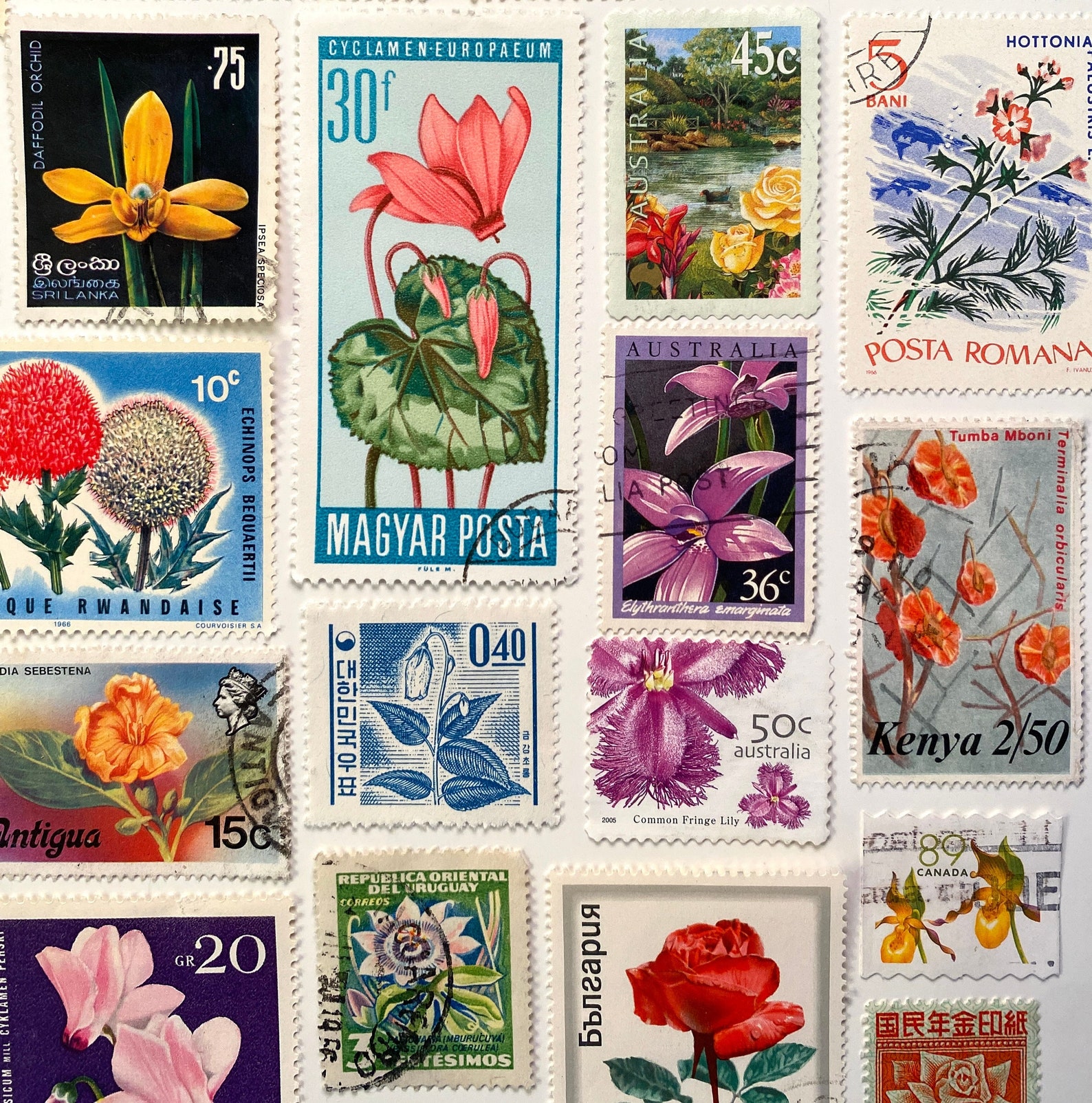 25 Stamp FLOWER POWER Fun Pack // Random Lot of 25 Premium World Floral ...