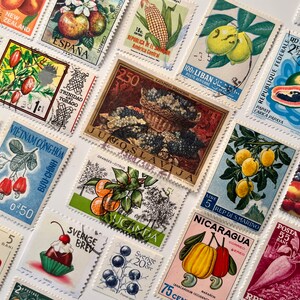 25 Stamp FOODIE Fun Pack // // Random Lot of 25 Premium Used Food ...