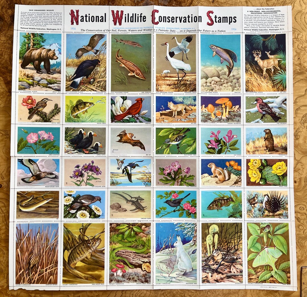 National Wildlife Conservation Stamp Seal Sheet / 1956 / Animal, Bird ...