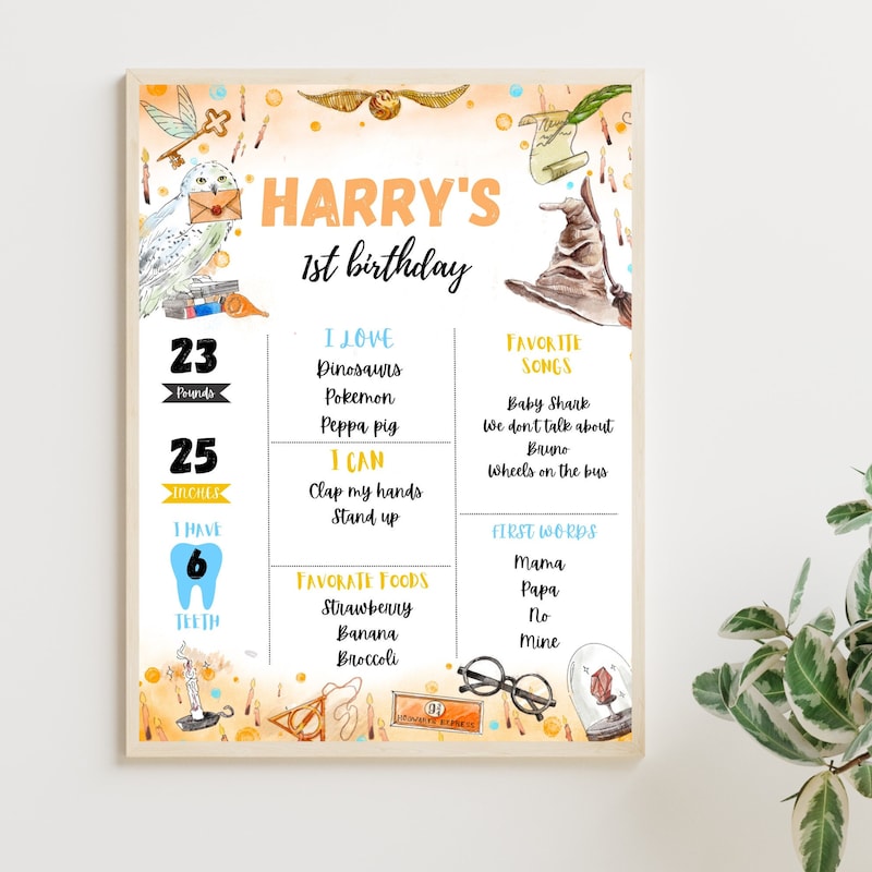 Potter Birthday - Etsy