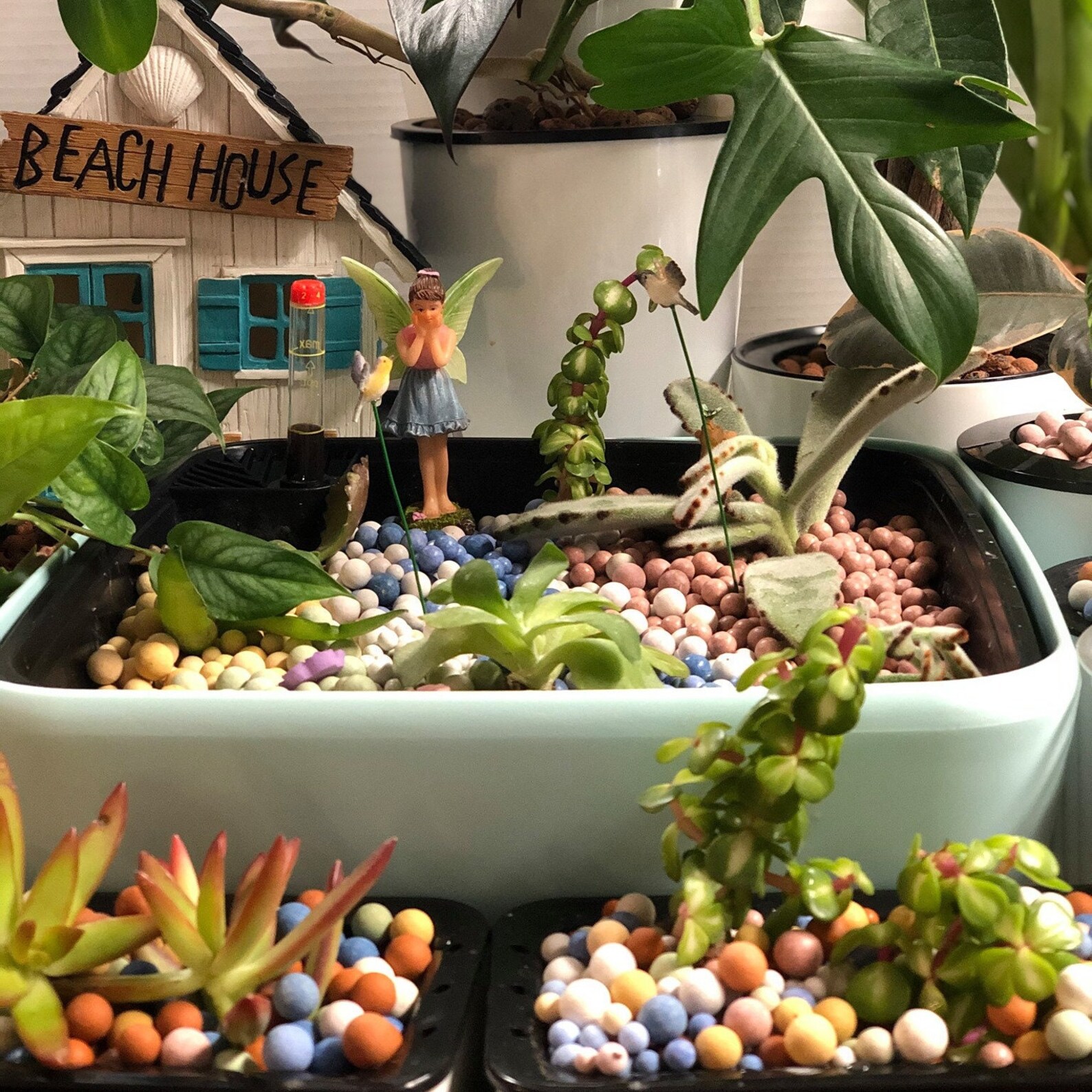 Colorful Ceramsite Hydroponics LECA Soil Less Semi Hydro Growing ...