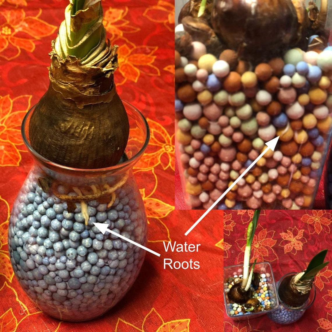 Colorful Ceramsite Hydroponics LECA Soil Less Semi Hydro - Etsy