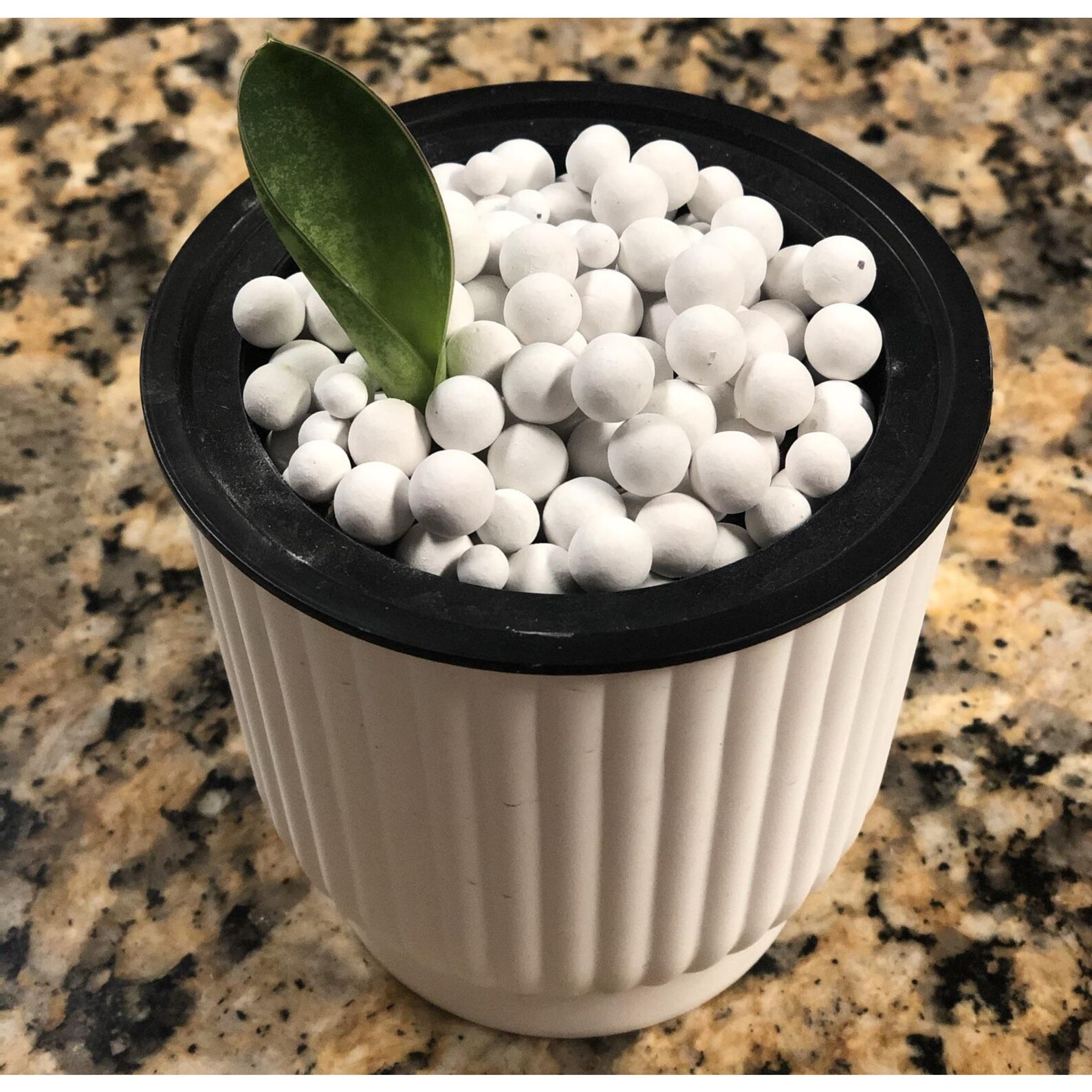 Colorful Ceramsite Hydroponics LECA Soil Less Semi Hydro Growing ...