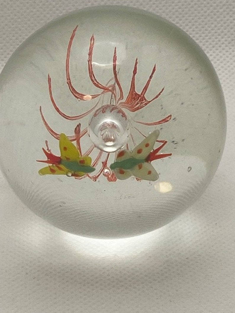 Glass Paperweight Spider & Bugs - Etsy