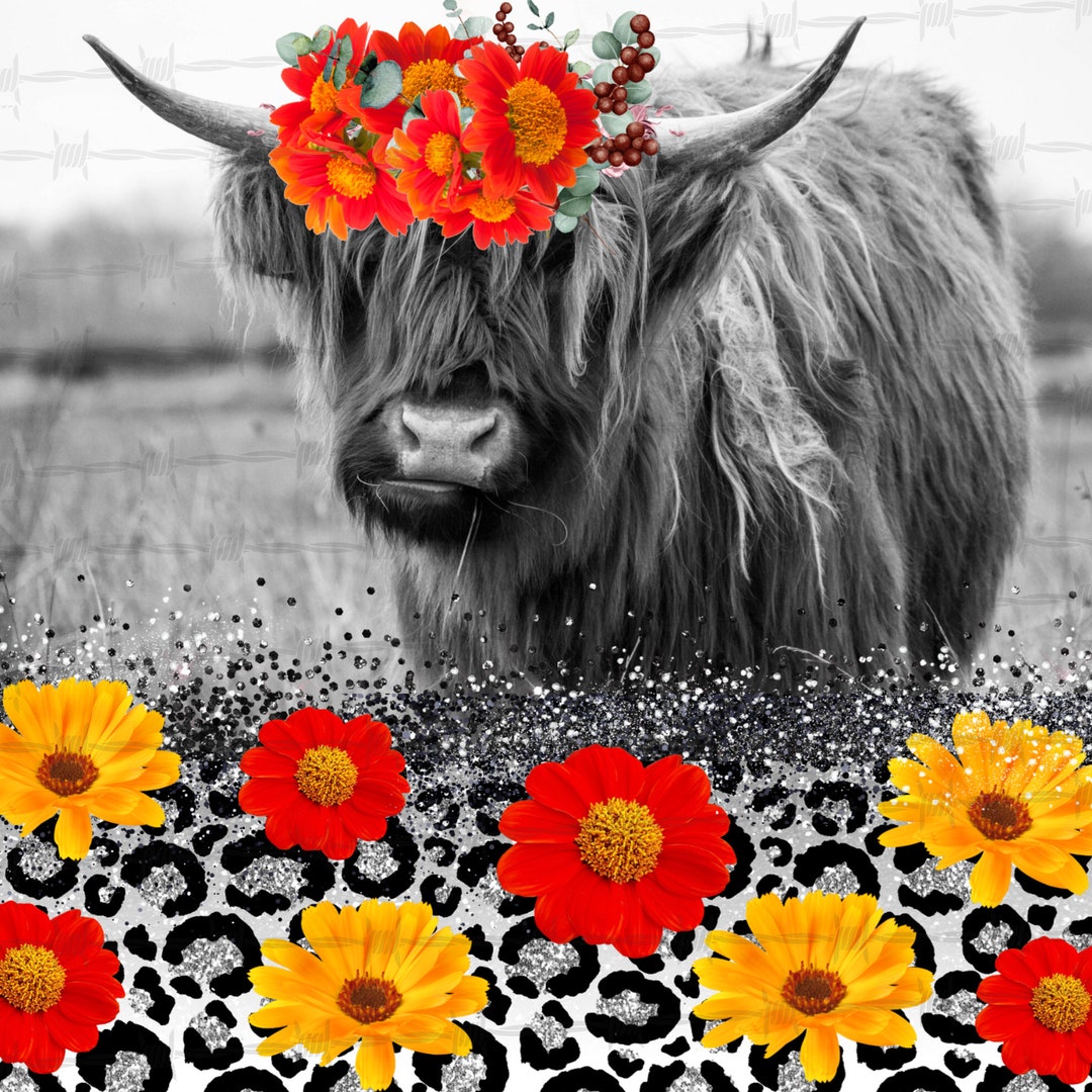 Highland Cow Highland Cow PNG Wrap Highland Cow With - Etsy