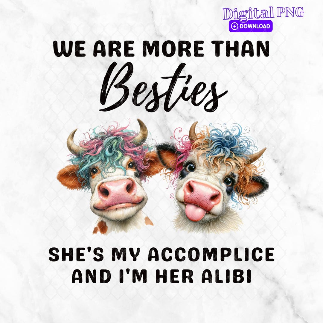 We Are More Than Besties She is My Accomplice and I'm Her Alibi, Funny ...