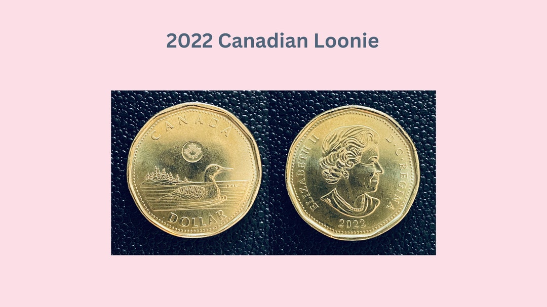 2022 Canadian Loonie Loonie New Coin Royal Canadian Mint - Etsy