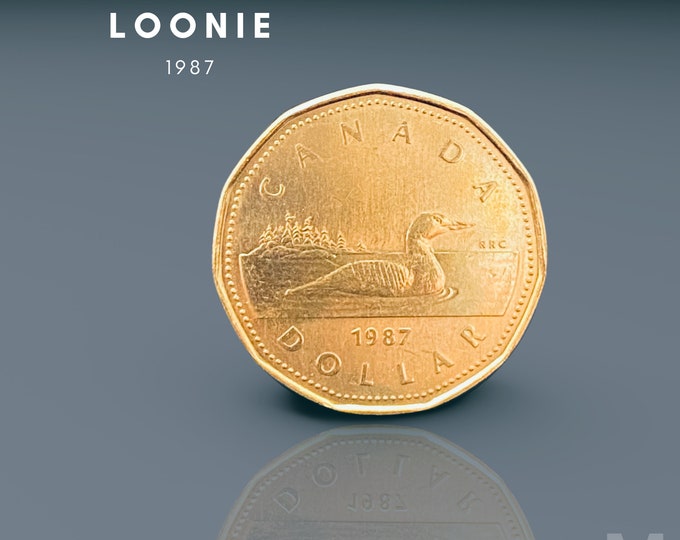 Colored Canadian Coin, Canadian Rare Coins, Random Surprise Mix ...