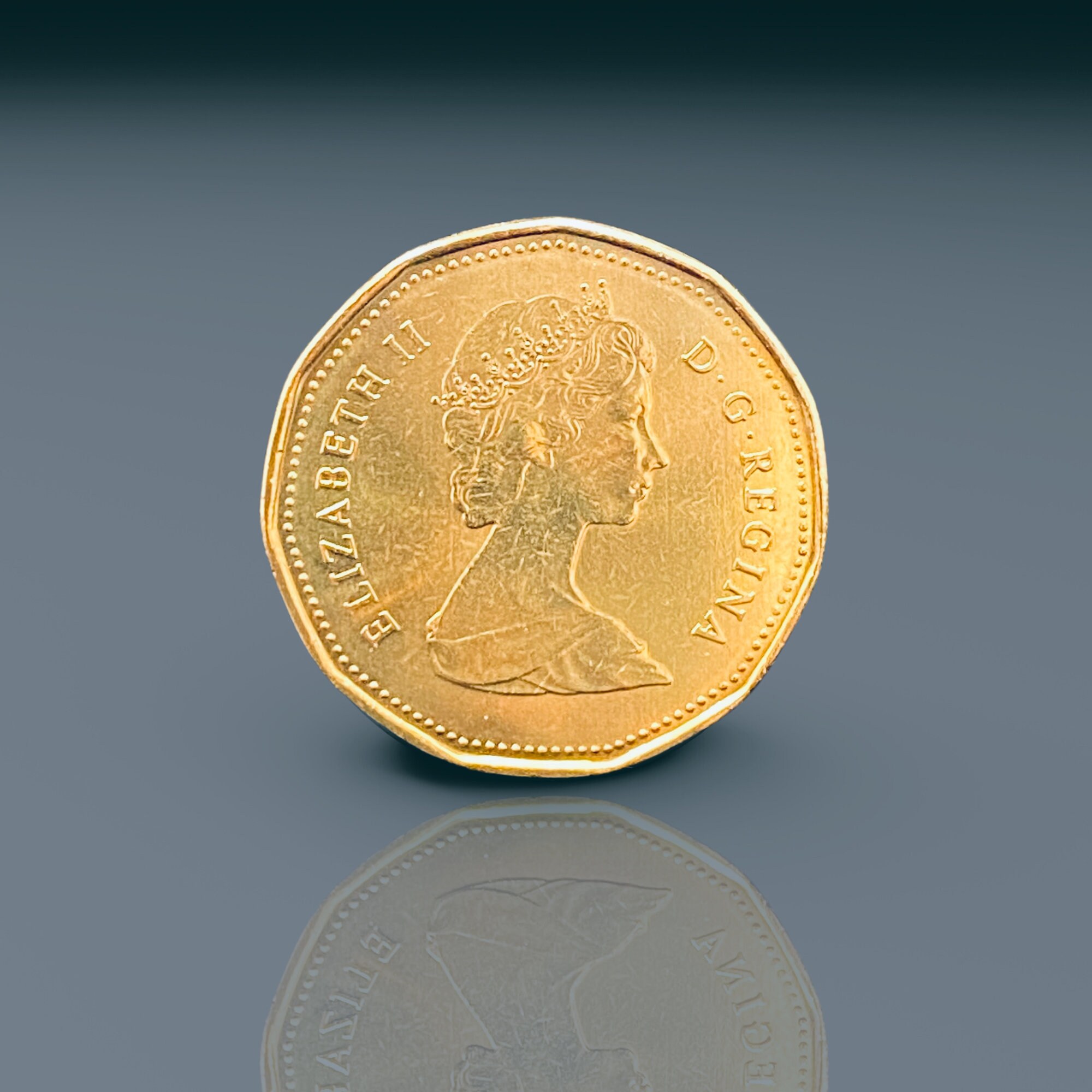 1988 Canadian Loonie, High Grade, Queen Elizabeth Ii, Coin Collector ...