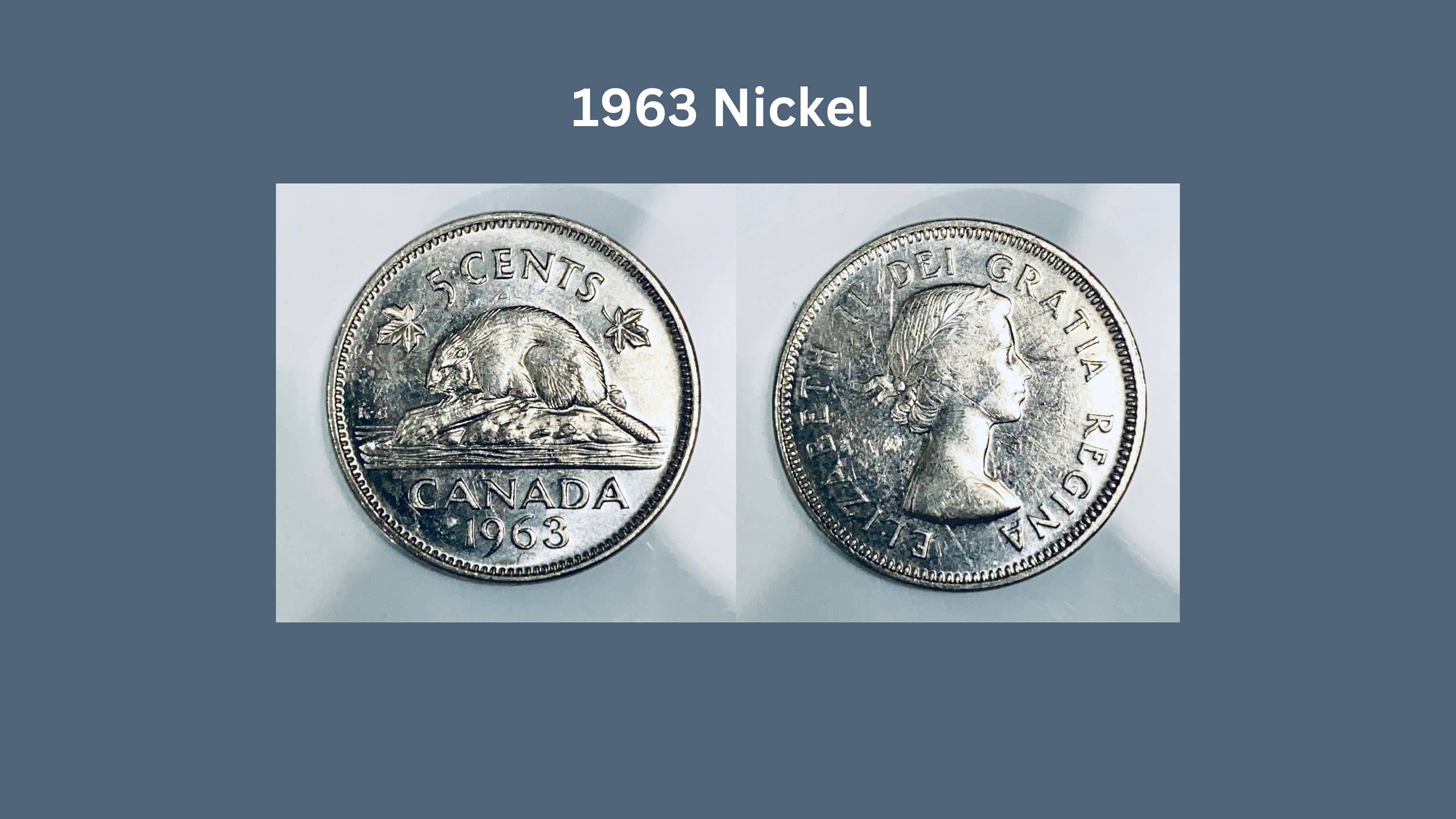 1963 Canadian Nickel Queen Elizabeth Ii Coin Collection Canadian Coins ...