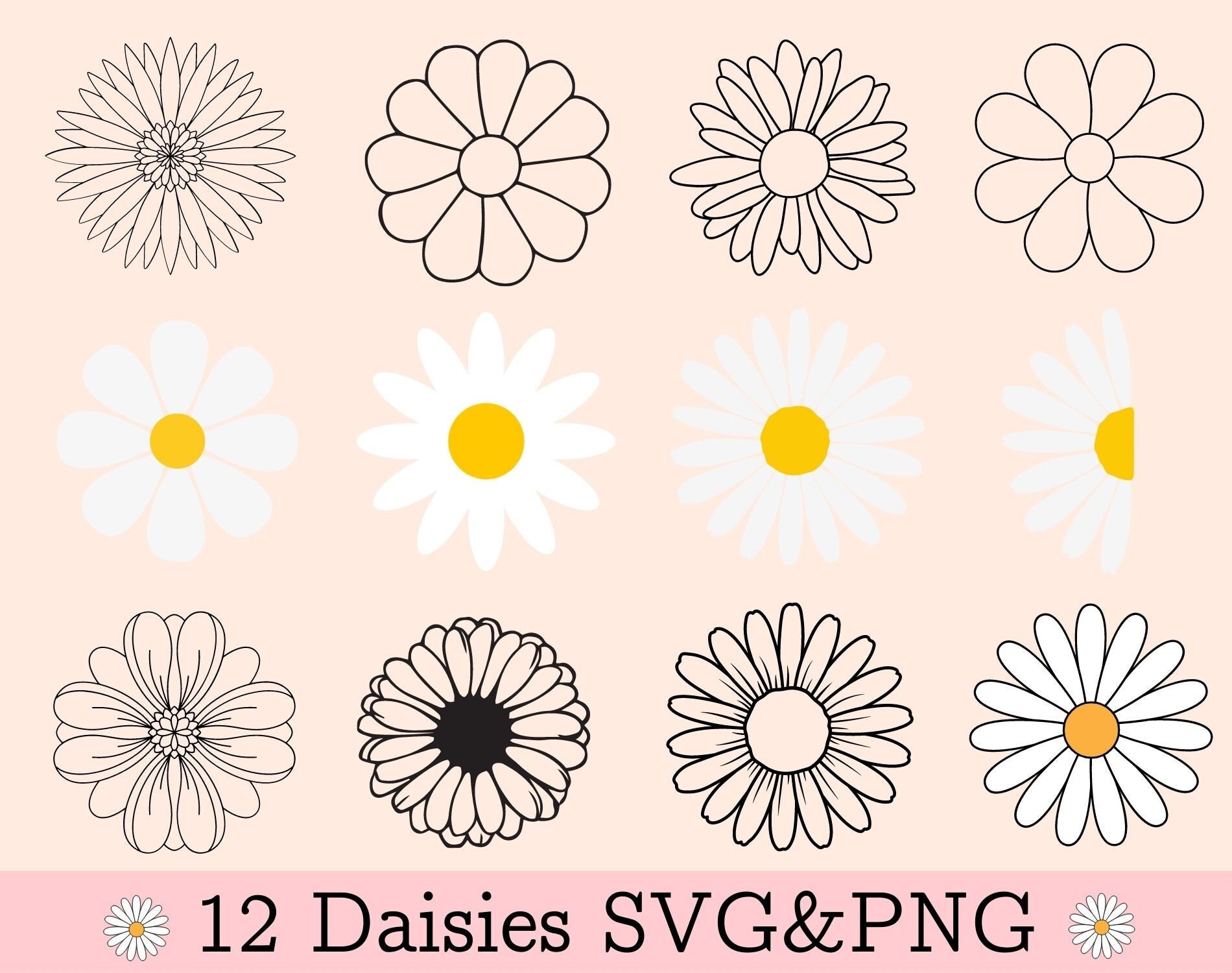 Daisy Bundle Svg Daisy Svg Daisy Clipart Flower Svg Floral - Etsy