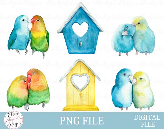 Teal Love Birds Clipart