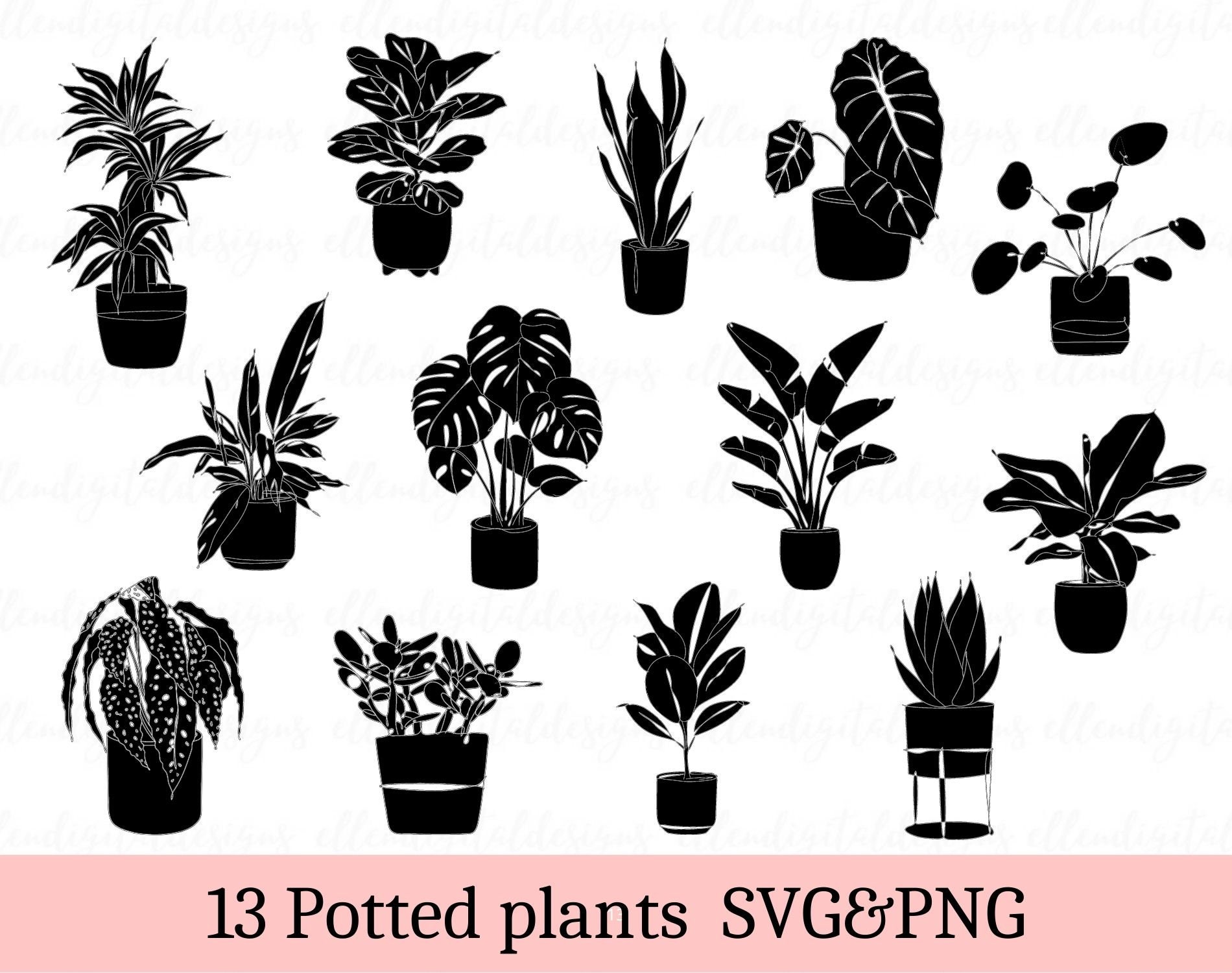 Plants Svg Bundle Plants Hand Drawn Svg Potted Plants Svg - Etsy Denmark