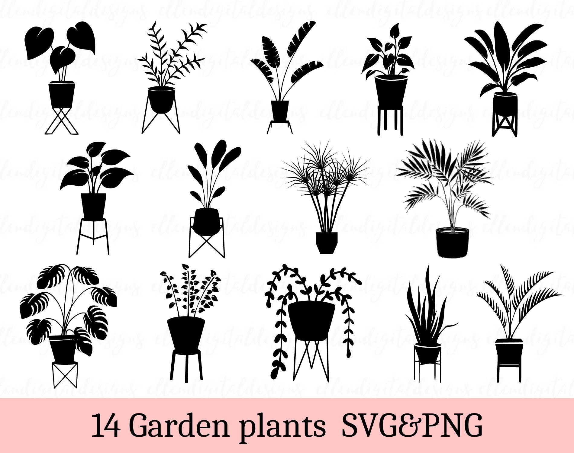 Plants Svg Bundle Plants Hand Drawn Svg Potted Plants Svg - Etsy