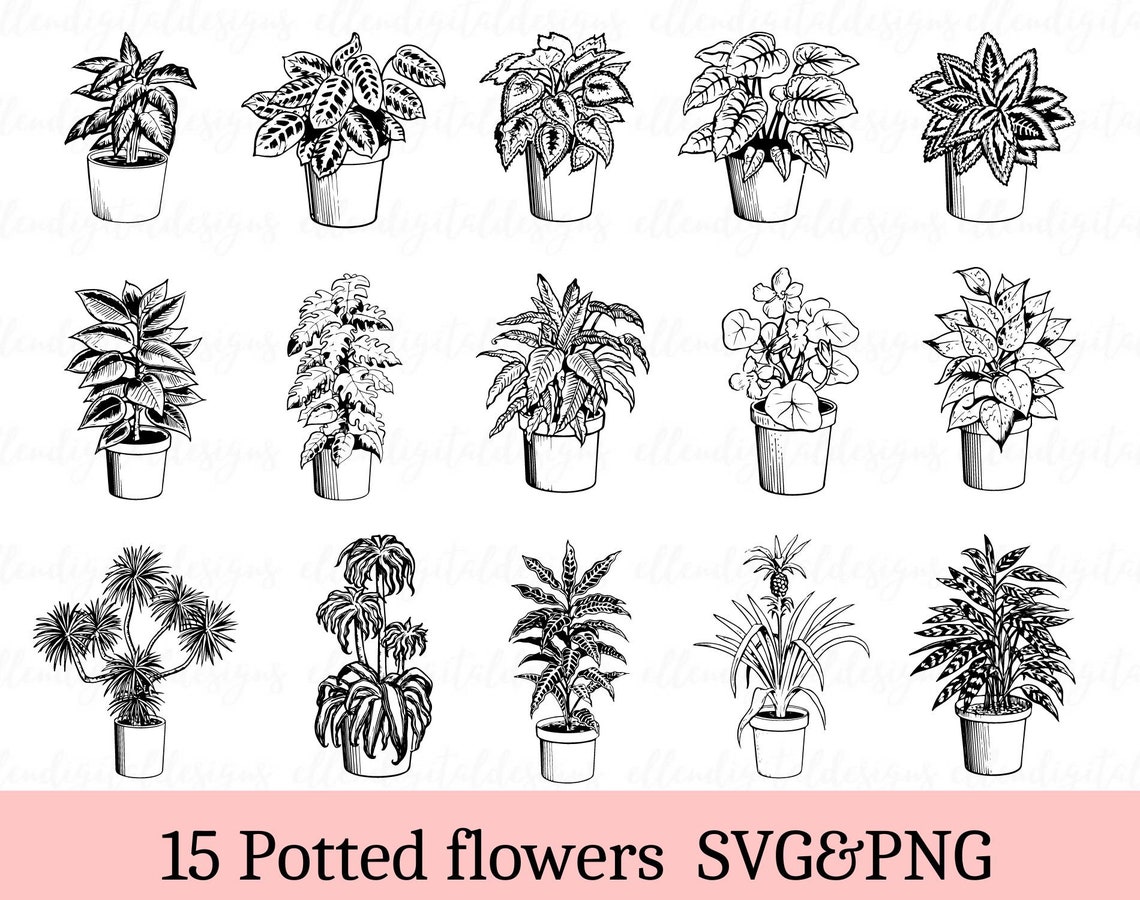 Plants Svg Bundle Plants Hand Drawn Svg Potted Plants Svg - Etsy