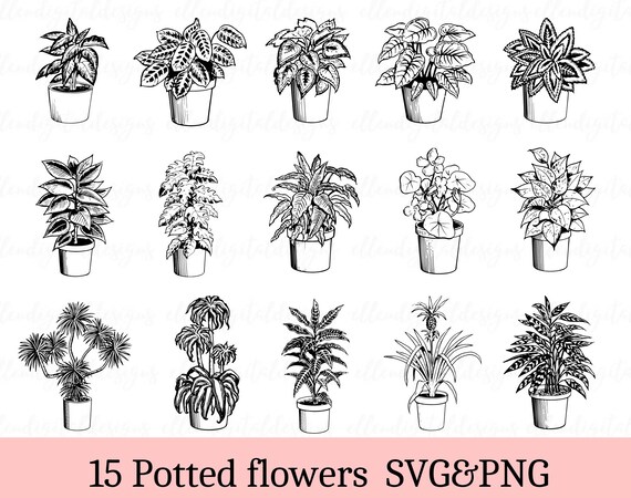 Plants Svg Bundle Plants Hand Drawn Svg Potted Plants Svg - Etsy