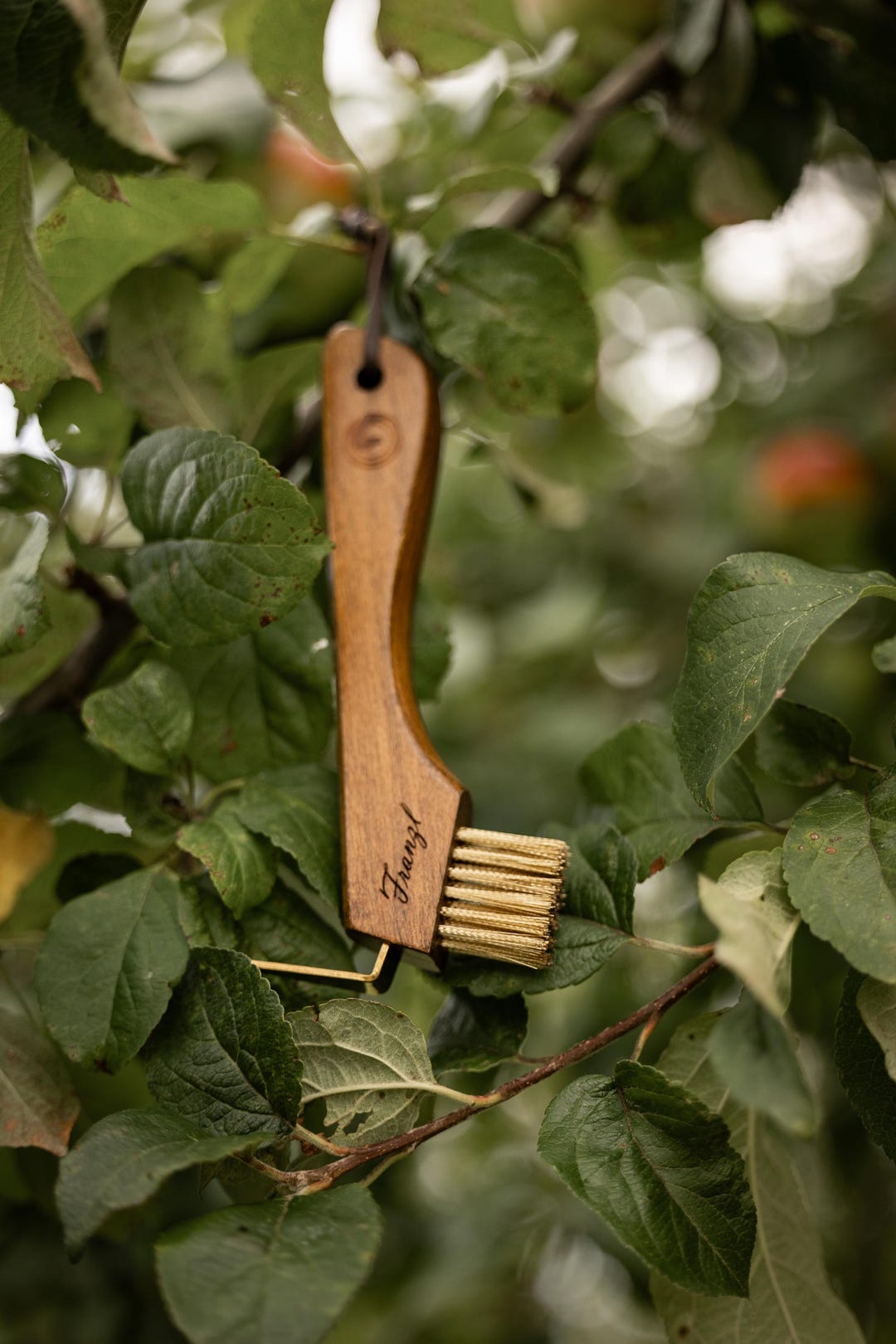 Customizable | Hoof Pick "lilo" | Horse | Horse Brush | Gift | Rider ...