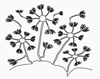 Dandelion With Grass, Longarm Digital Quilt Designs, Pattern, E2E, E522 - Etsy