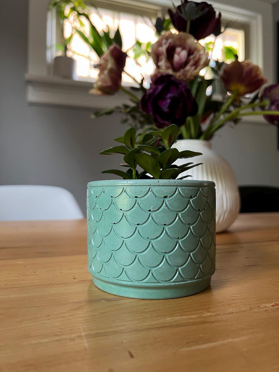 Gorgon Cement Planer Pot in Solid Colour - Etsy