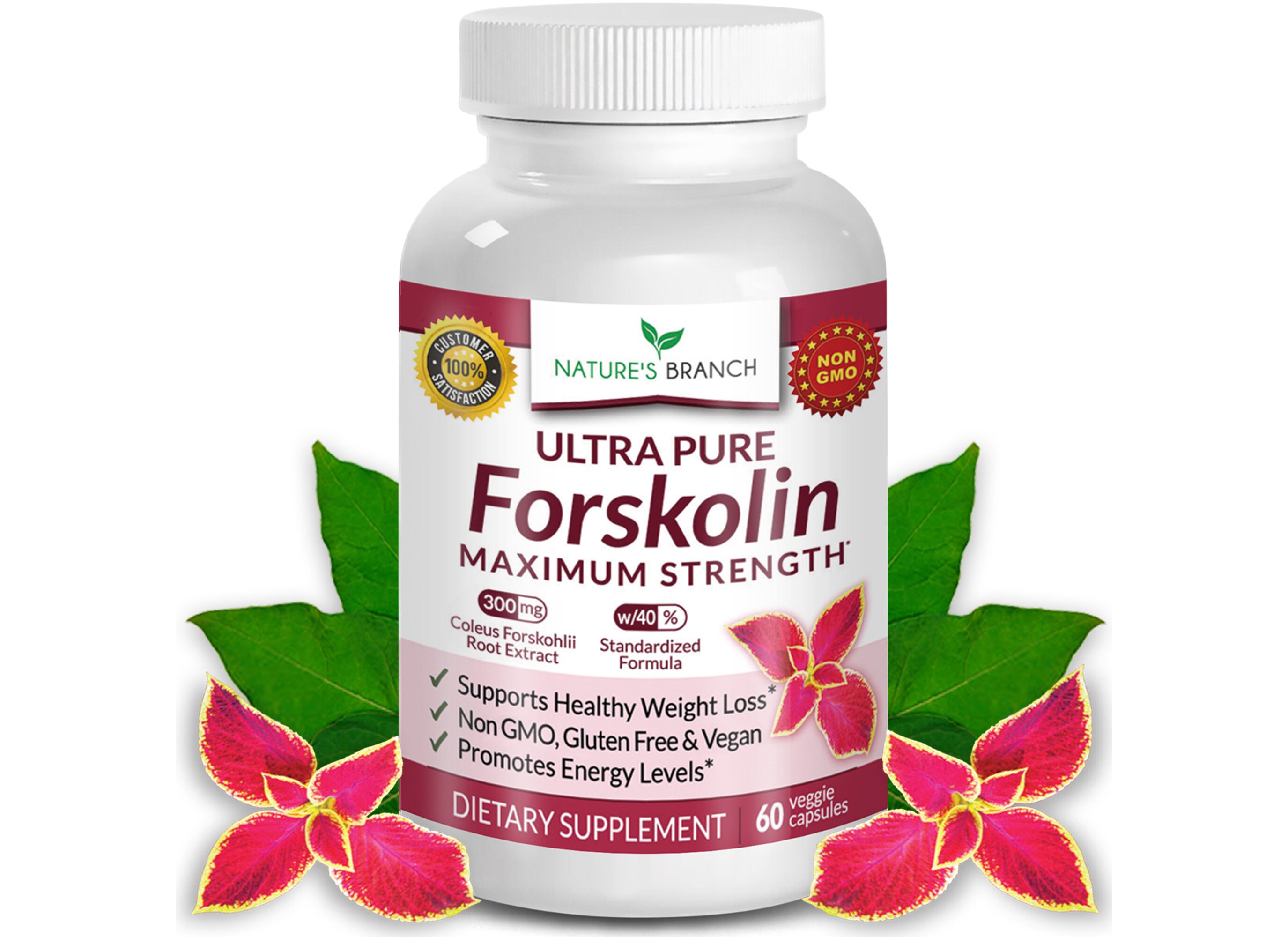 Coleus Forskohlii Extract