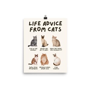Life Advice From Cats Poster, Cat Wisdom Wall Art, Cat Lovers Gift ...