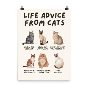Life Advice From Cats Poster, Cat Wisdom Wall Art, Cat Lovers Gift ...