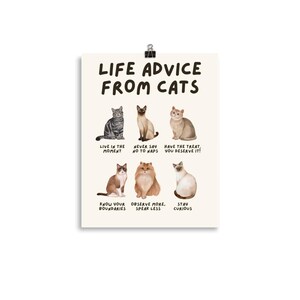 Life Advice From Cats Poster, Cat Wisdom Wall Art, Cat Lovers Gift ...