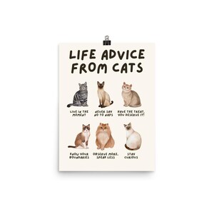 Life Advice From Cats Poster, Cat Wisdom Wall Art, Cat Lovers Gift ...