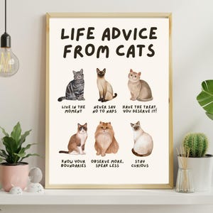 Life Advice From Cats Poster, Cat Wisdom Wall Art, Cat Lovers Gift ...