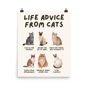Life Advice From Cats Poster, Cat Wisdom Wall Art, Cat Lovers Gift ...