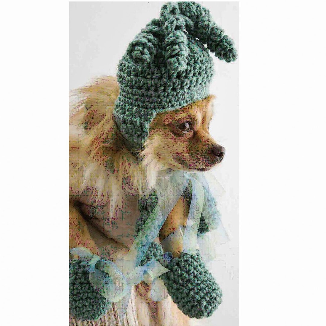 Dog CROCHET Hat PATTERN, Crochet Pet Hat, Easy Crochet Pattern, Crochet ...