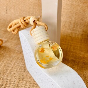 Botanical Hanging Car Diffuser, Cute Scented Car Accessories to Refresh ...