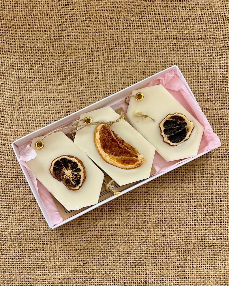 Set of 3 Soy Wax Scented Tablets – Floral, Fruity, Citrus Aromatherapy ...