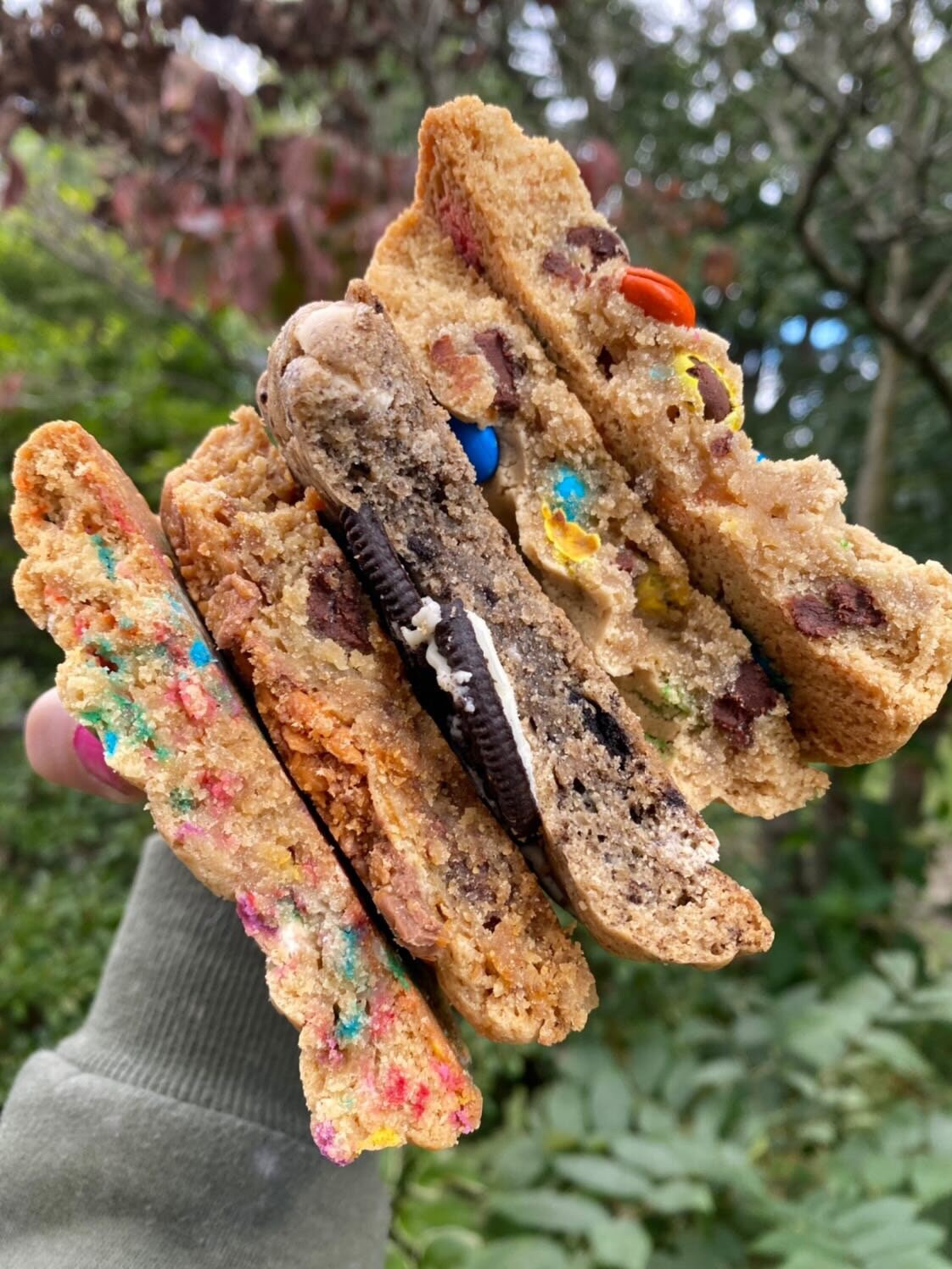 Handcrafted Homemade Gourmet Cookies - Etsy