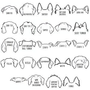 4 Inches Wide Personalized Dog Ear Decal - Etsy