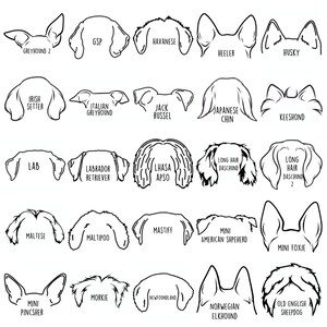 3 Inches Wide Personalized Dog Ear Decal - Etsy